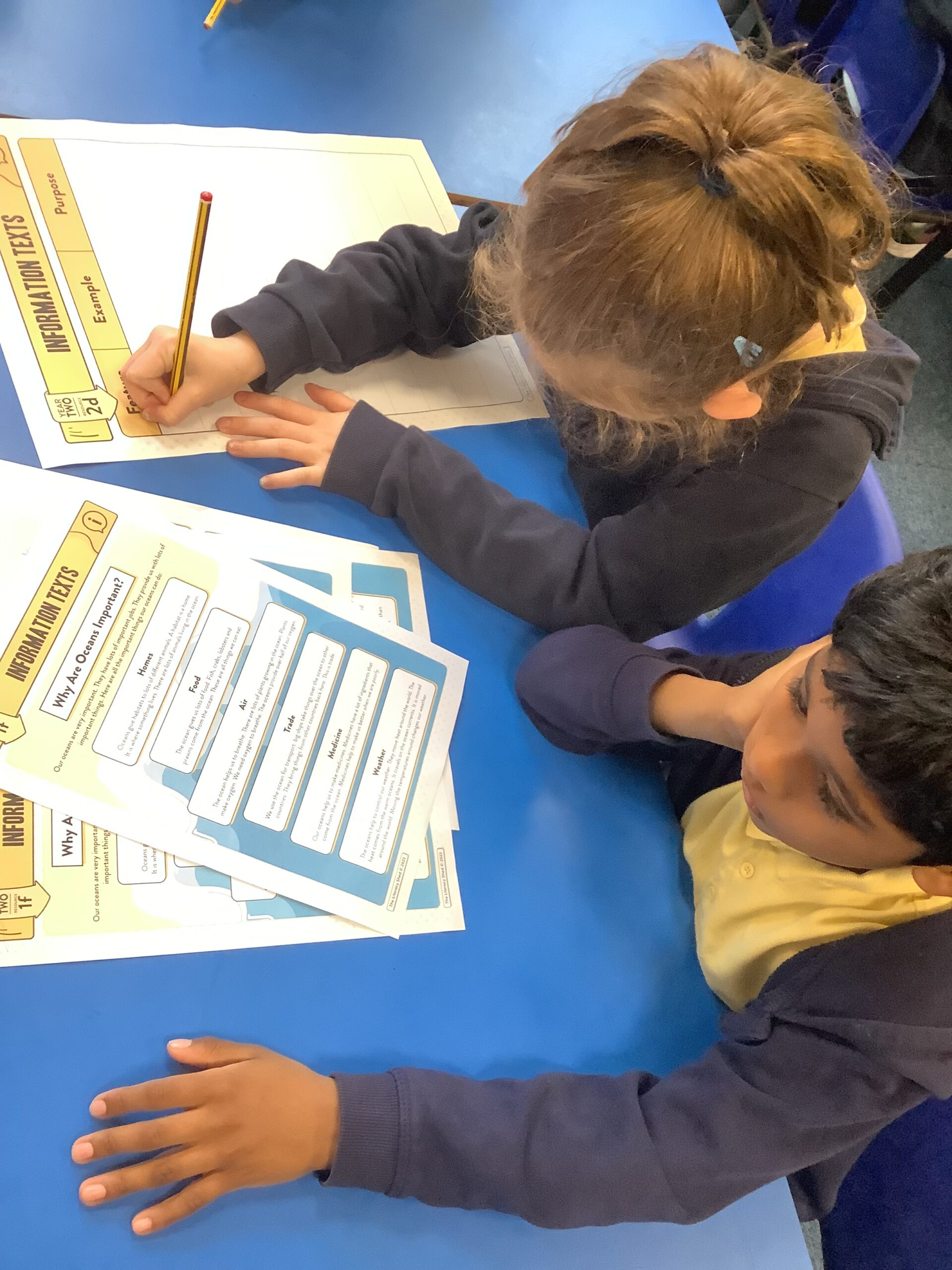 Year 2 – Information Texts – St Peter's Catholic Primary School, Low Fell