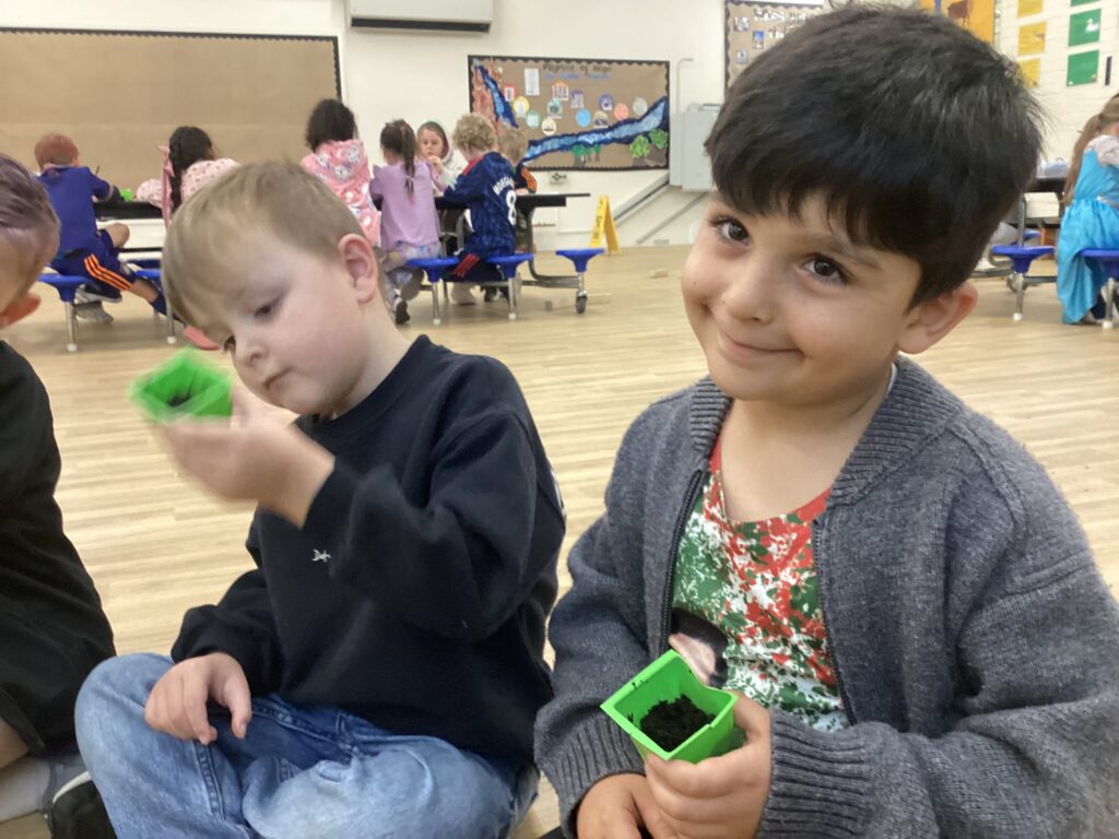 Year 1: Growing plants – St Peter's Catholic Primary School, Low Fell