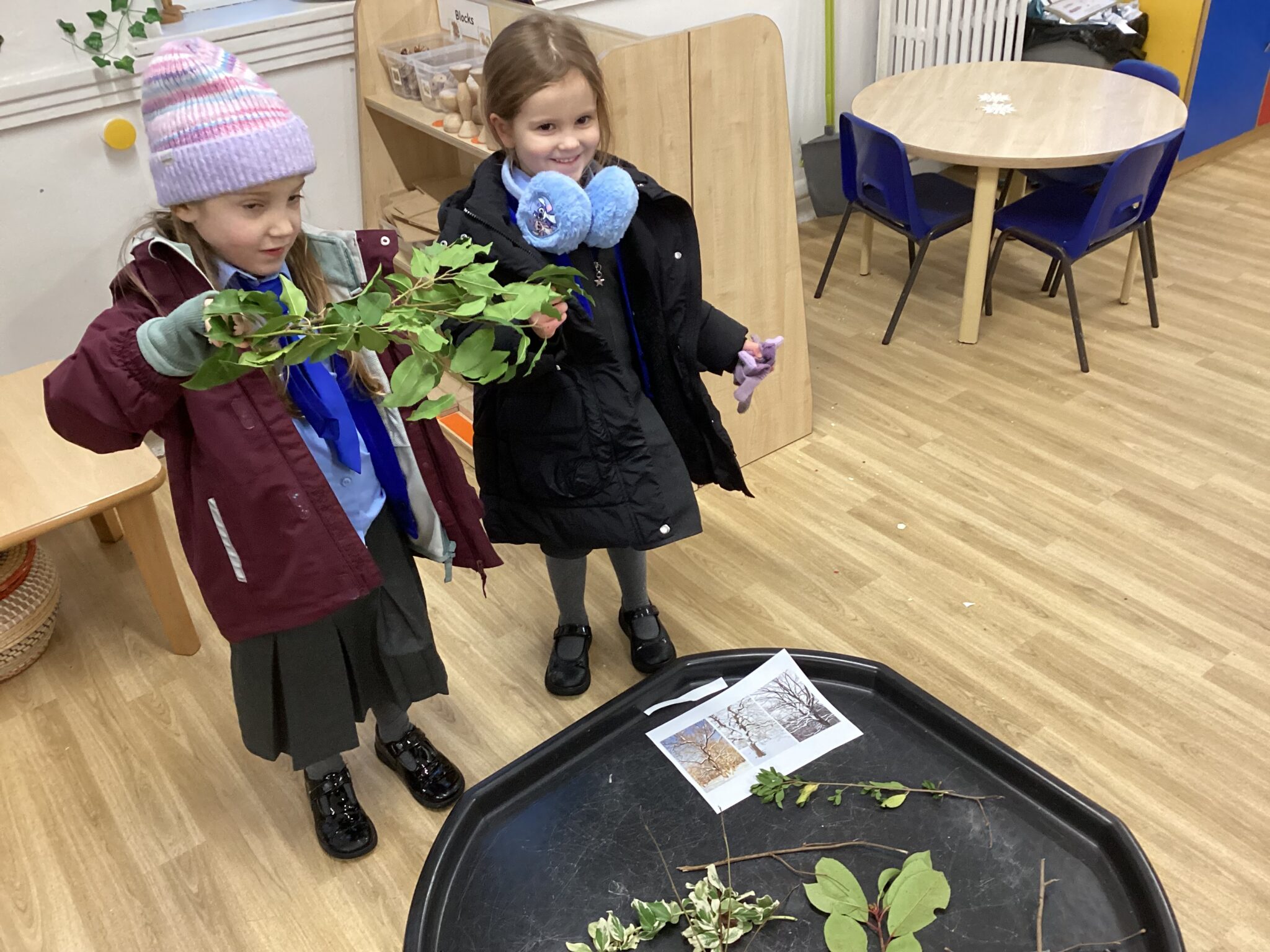 Reception – Understanding the World – Deciduous and Evergreen Trees ...